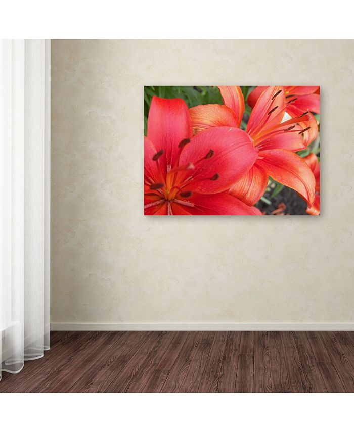 Trademark Global Monica Fleet 'Lehua' Canvas Art - 32" x 24" - Macy's