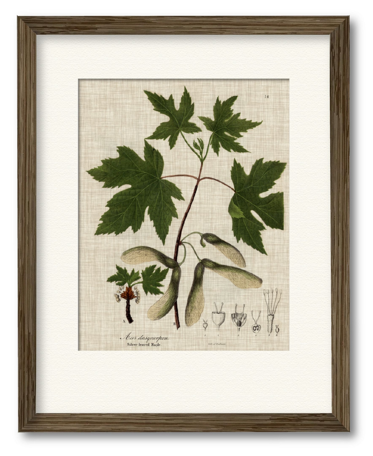 Click here for Courtside Market Botanical Flame 16 x 20 Framed an... prices