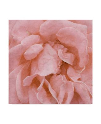 Alonzo Saunders Wall Flower IV Canvas Art - 15" x 20" - Macy's