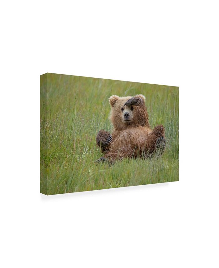 Trademark Global Renee Doyle Whos There Canvas Art - 37" x 49" - Macy's