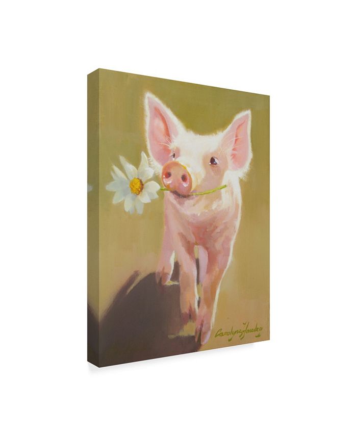 Trademark Global Carolyne Hawley Life as a Pig IV Canvas Art - 15" x 20 ...