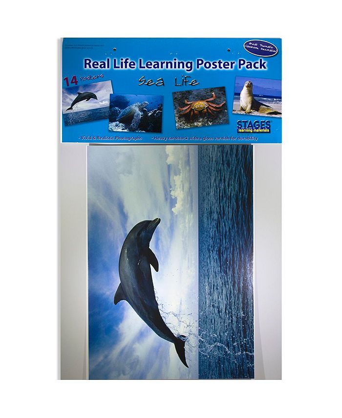Stages Learning Materials Real Photo Sea Life Poster Set - Macy's