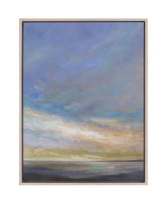 Paragon Coastal Clouds III Framed Wall Art, 42" x 32" - Macy's