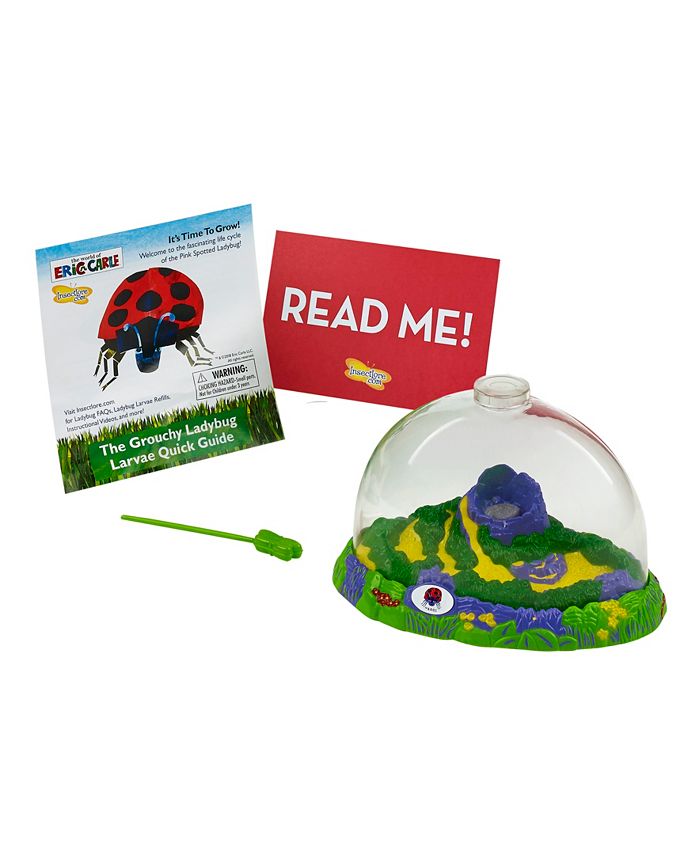 Insect Lore STEM Educational Ladybug Life Cycle Growing Kit - Macy's