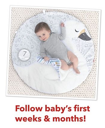 Skip Hop Baby Little Swan Playmat - Macy's