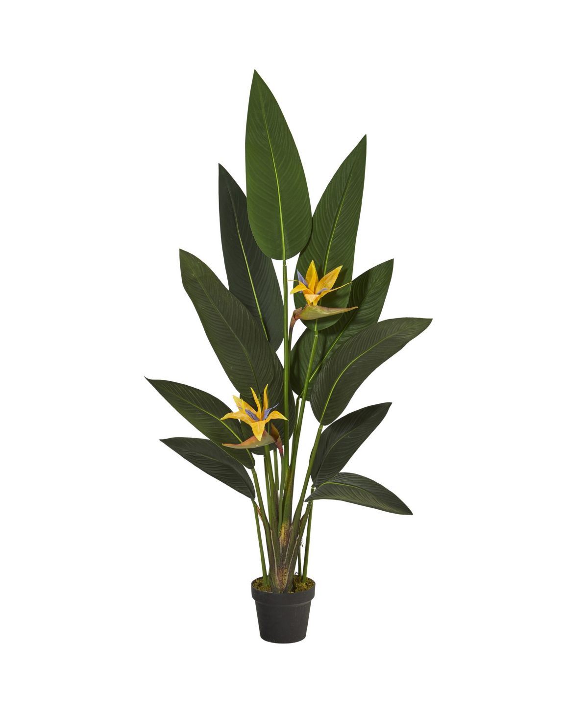 Click here for Nearly Natural Bird of Paradise Artificial Plant... prices