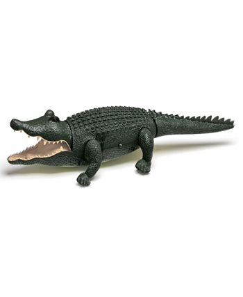 Discovery Kids Toy Remote Control Crocodile - Macy's