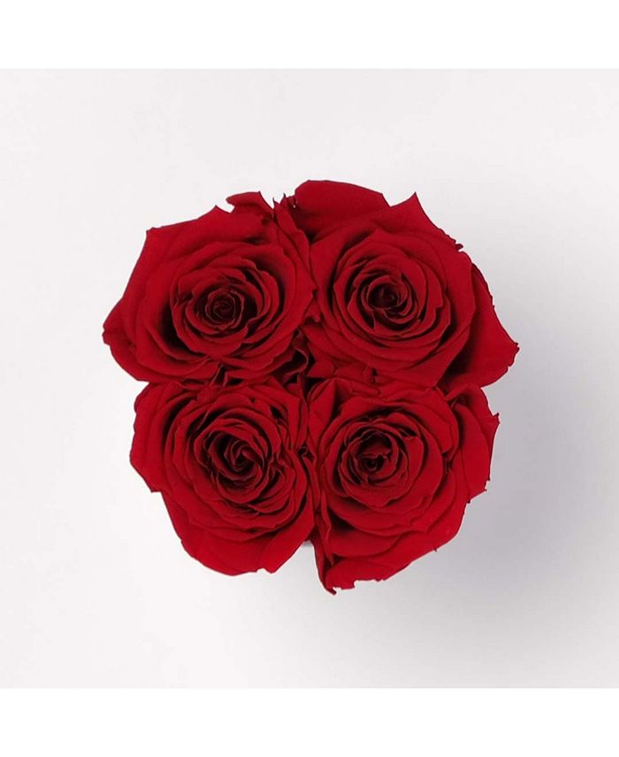 Infinity Roses Round Box of 4 Red Real Roses Preserved To Last Over A ...