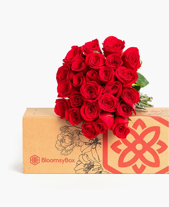 BloomsyBox Two Dozen Red Roses Fresh Flower Bouquet - Macy's