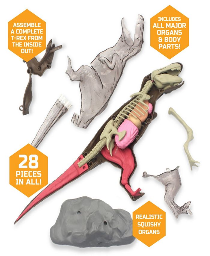 Discovery #MINDBLOWN Discovery Mindblown Toy Anatomy T-Rex Kit - Macy's