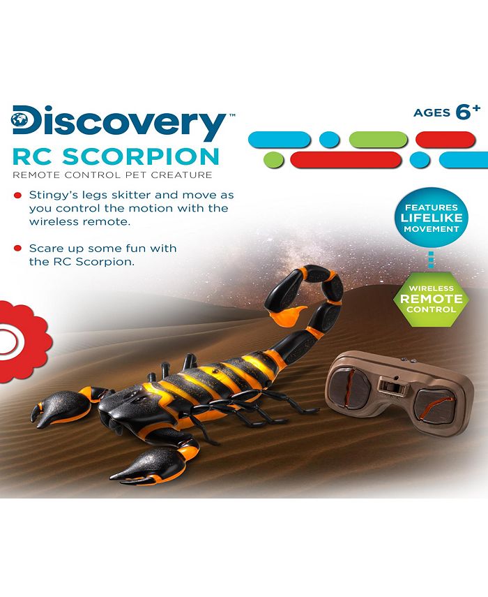 Discovery Kids RC Scorpion, Glow In The Dark Body, Wireless Remote ...