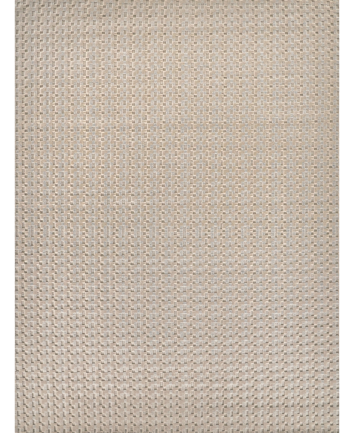 Click here for Exquisite Rugs Monroe ER3961 8 x 10 Area Rug - Bei... prices