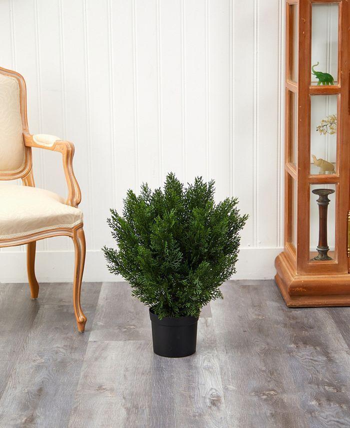 Nearly Natural 2' Cedar Indoor/Outdoor Artificial Bush - Macy's