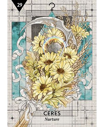 Barnes & Noble Starcodes Astro Oracle - A 56-Card Deck and Guidebook by ...