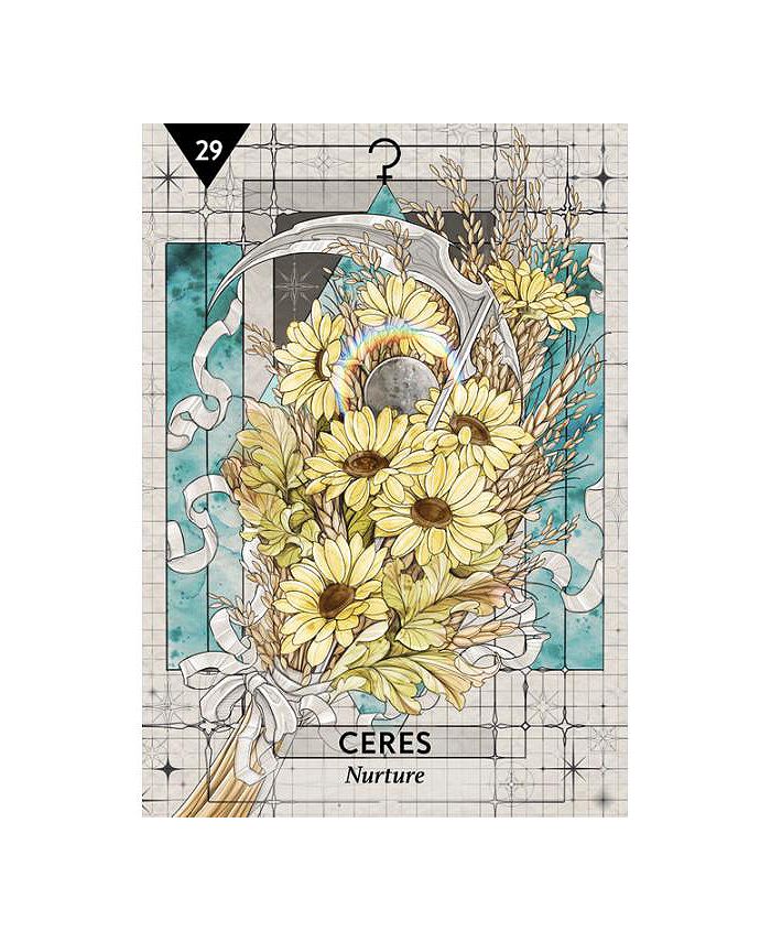 Barnes & Noble Starcodes Astro Oracle - A 56-Card Deck and Guidebook by ...