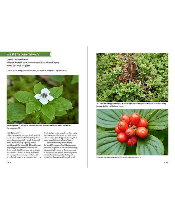 Barnes & Noble Pacific Northwest Medicinal Plants: Identify, Harvest, and Use 120 Wild Herbs for ...
