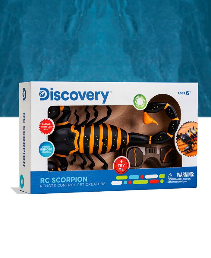 Discovery Kids RC Scorpion, Glow In The Dark Body, Wireless Remote ...