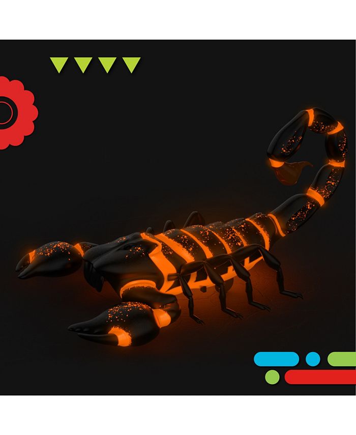 Discovery Kids RC Scorpion, Glow In The Dark Body, Wireless Remote ...