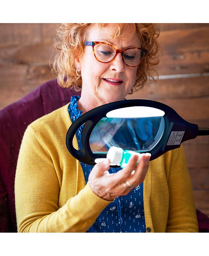 Brightech Lightview Pro LED Gooseneck Standing Magnifier Floor Lamp ...