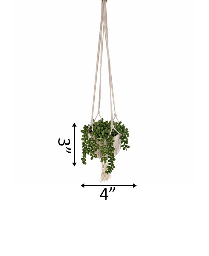 Flora Bunda String of Pearls Macrame Hanging Ceramic Pot Donkey Tails ...