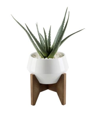 Flora Bunda Aloe in Geometric Ceramic Pot on Stand, 20" - Macy's