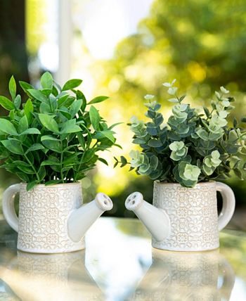 Flora Bunda Eucalyptus Tea Leaf in Cathedral Watering Can Set, 2 Piece ...