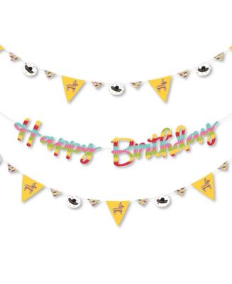 Big Dot of Happiness Let's Fiesta - Mexican Fiesta Birthday Party ...