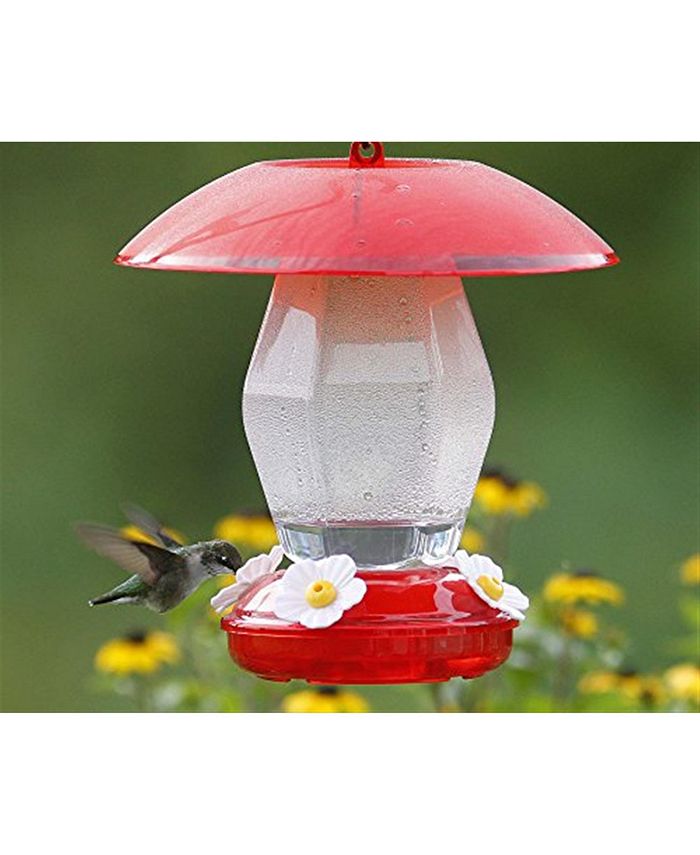 More Birds Hummingbird Feeder Red 20-Oz Nectar Capacity Jubilee - Macy's
