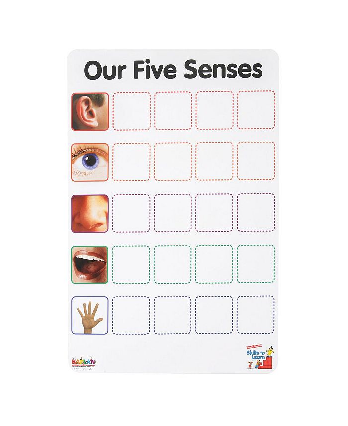 Kaplan Early Learning Company Our Five Senses Interactive Game - Macy's
