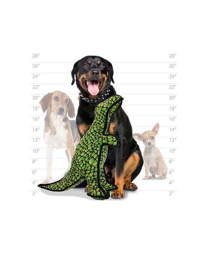 Tuffy Dinosaur T-Rex, Dog Toy - Macy's