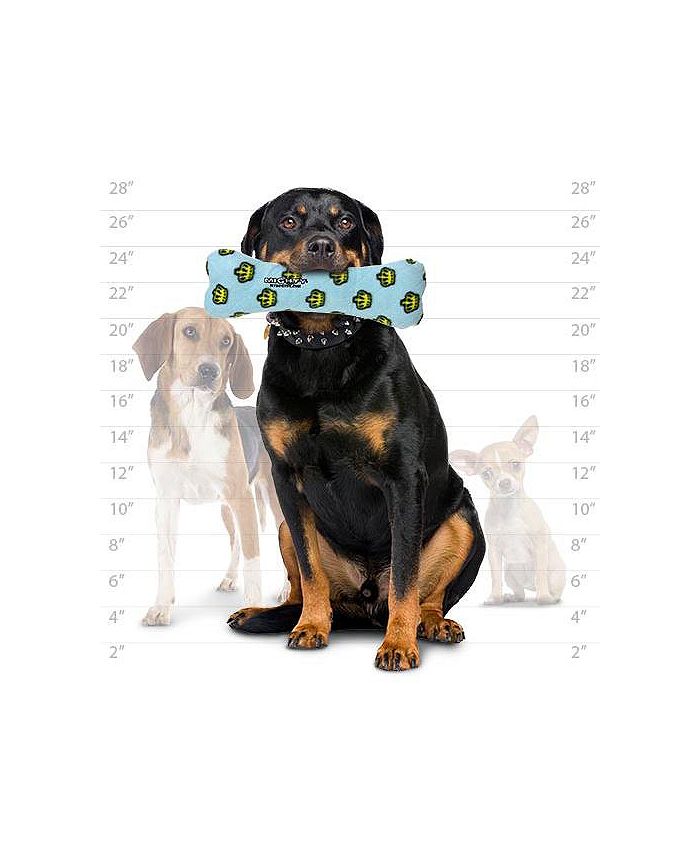 Mighty Bone Blue, Dog Toy - Macy's