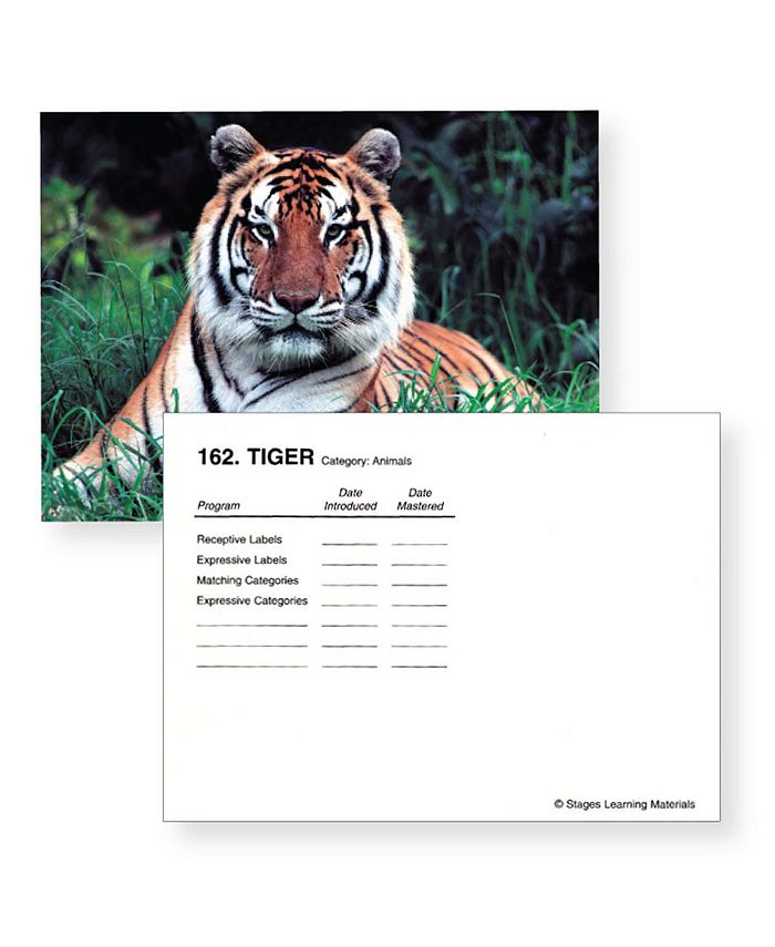 Stages Learning Materials Language Builder Picture Noun Photo Flash ...