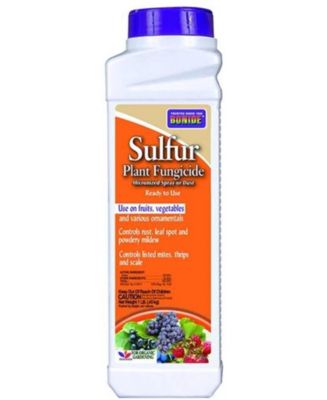 Bonide Sulfur Plant Fungicide Micronized Spray or Dust - Macy's