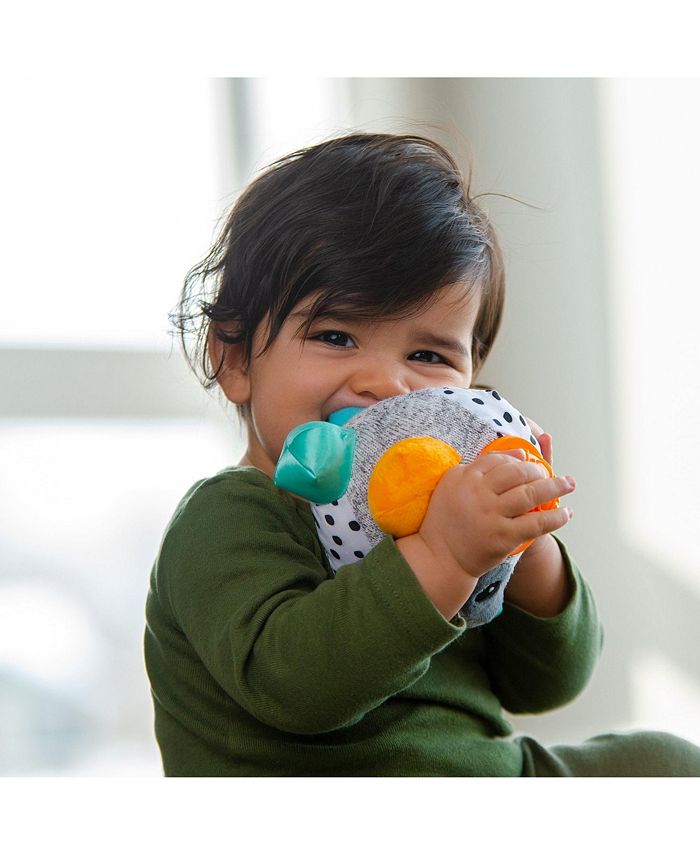 Sassy Baby Sassy Bumpy Badger Developmental Baby Toy, 0 months plus ...
