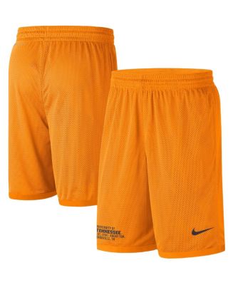 Men's Nike Tennessee Orange Tennessee Volunteers Performance Mesh ...