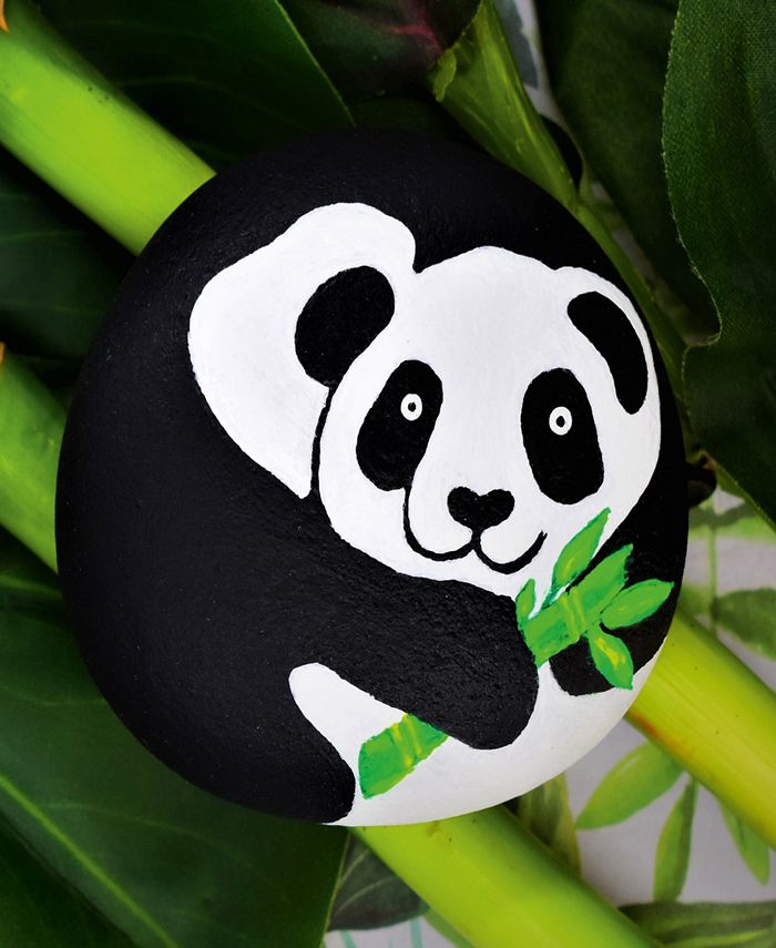 Craft Maker Animal Rock Painting Box Set DIY Rock Painting for Adults ...