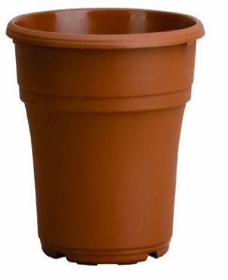 Panterra 6 Inch Pot, Clay Color - Macy's