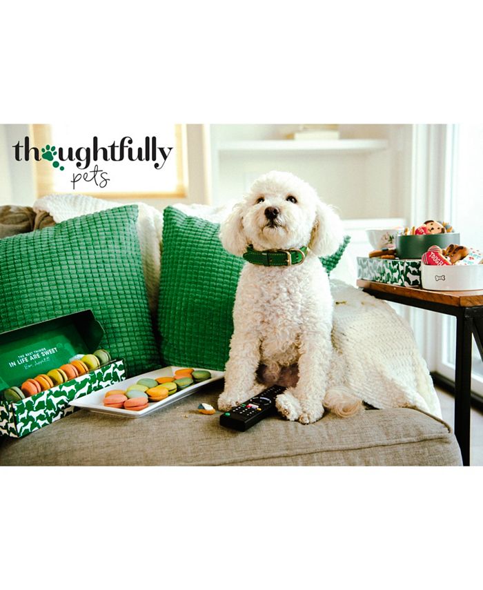 Thoughtfully Pets, Boy and Girl Dog Birthday Cookies Gift Set, Set of 8 ...