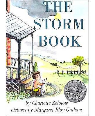 The Storm Book by Charlotte Zolotow - Macy's