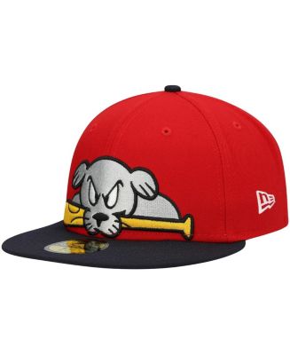Men's New Era Red Portland Sea Dogs Authentic Collection Team Alternate ...