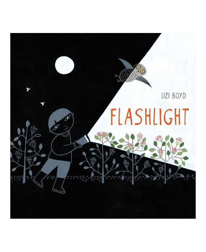 Barnes & Noble Flashlight: (Picture Books, Wordless Books for Kids ...