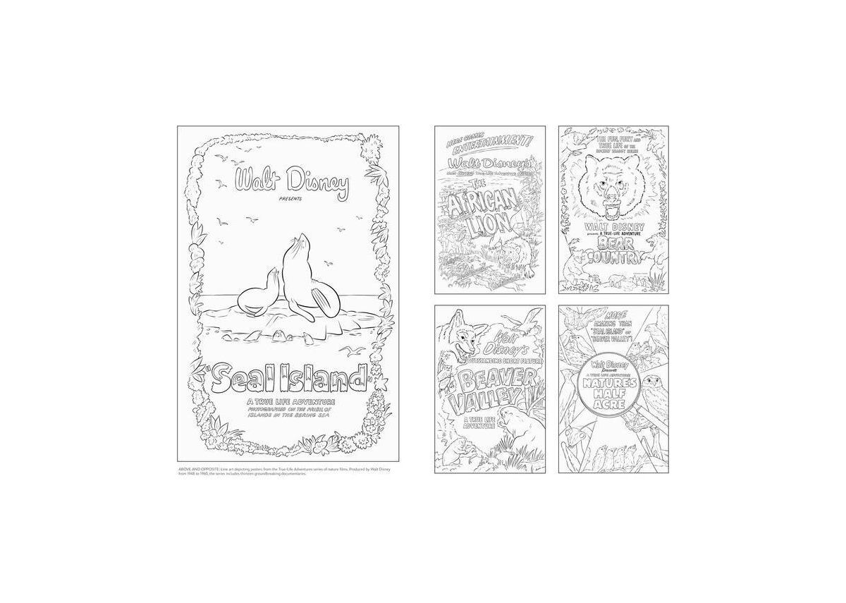 Barnes & Noble Art of Coloring- Disney 100 Years of Wonder- 100 Images ...