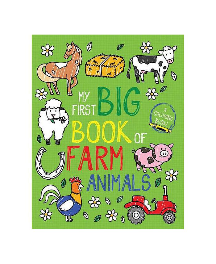 Barnes & Noble My First Big Book of Farm Animals by Little Bee Books ...
