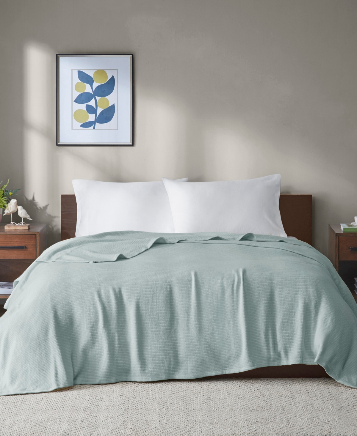 Click here for Madison Park Freshspun Basketweave Cotton Blanket... prices