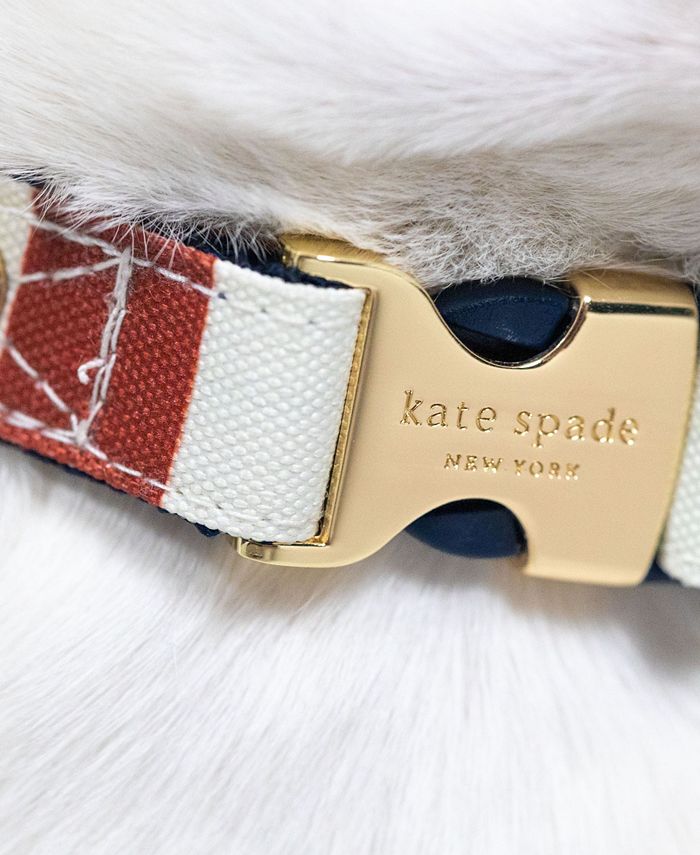 kate spade new york Adventure Stripes Adjustable Dog Collar - Macy's