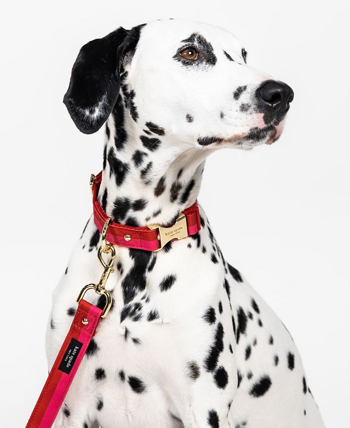 kate spade new york Red & Pink Dog Leash - Macy's