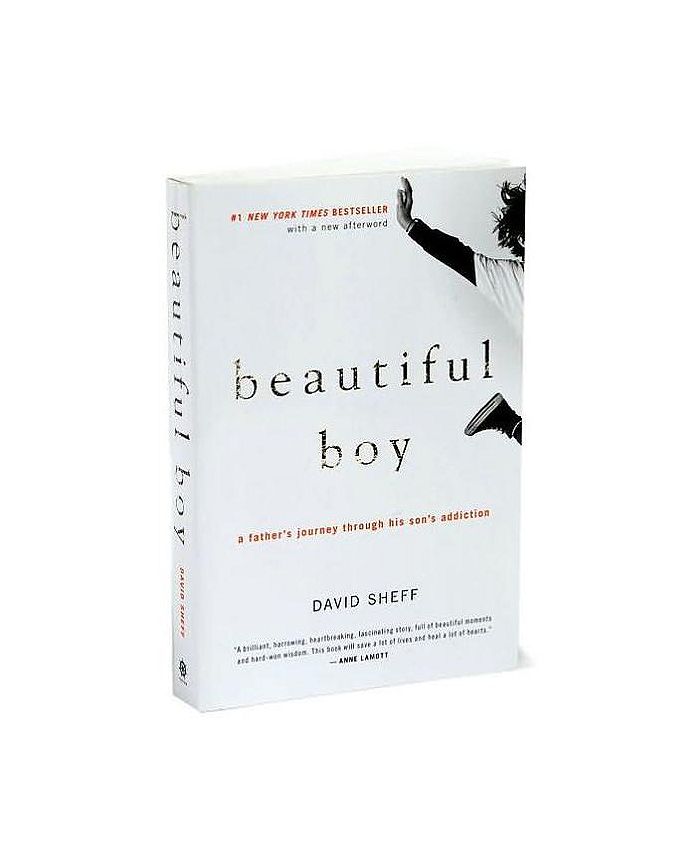 Barnes & Noble Beautiful Boy- A Father's Journey Through His Son's ...