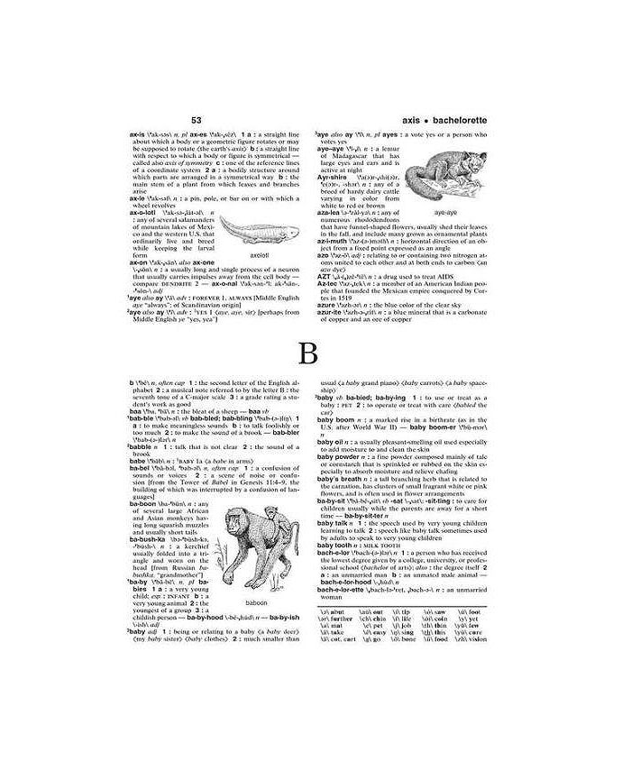 Barnes & Noble Merriam-Webster's Intermediate Dictionary by Merriam ...