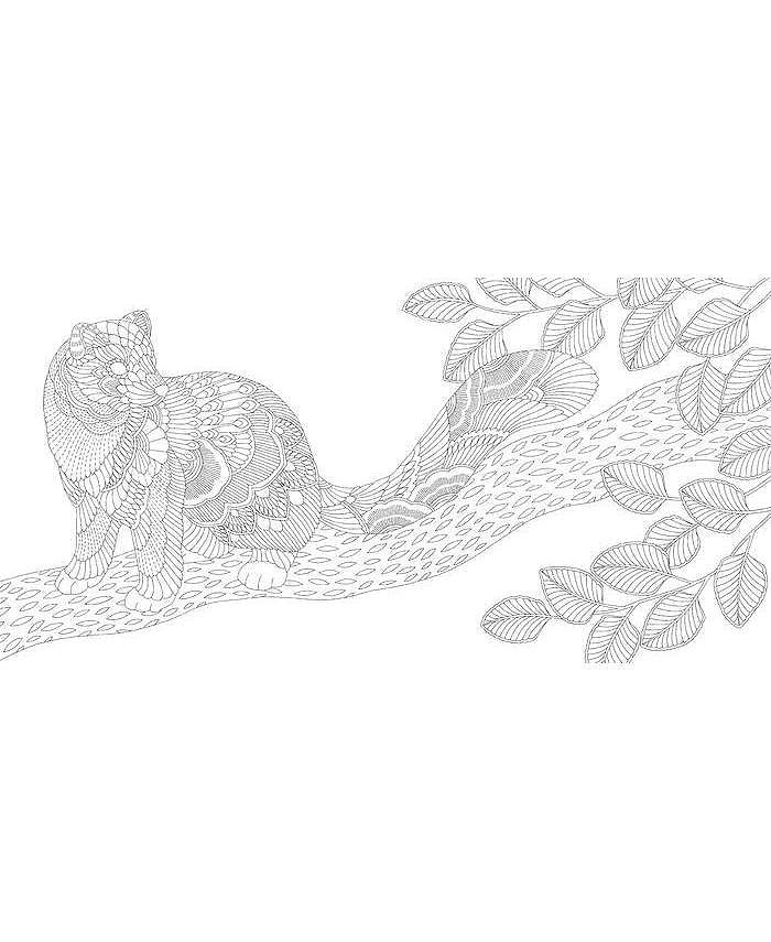 Barnes & Noble Millie Marotta's Island Escape- A Coloring Adventure by ...