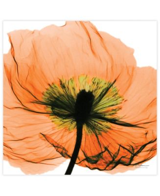 Empire Art Direct "Poppy Orange" Frameless Free Floating Tempered Glass ...
